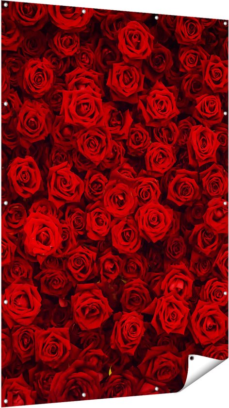 Gards Tuinposter Rode Rozen Achtergrond - 120x180 cm - Tuindoek ...