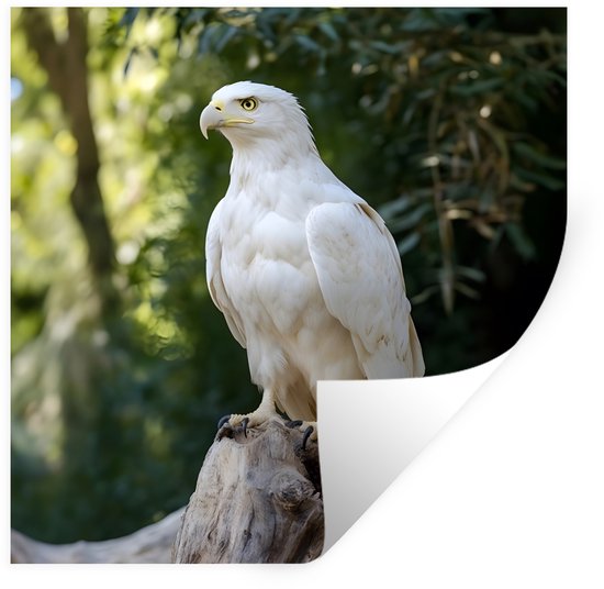 Muurstickers - Sticker Folie - Arend - Hout - Wit - Planten - 80x80 cm ...