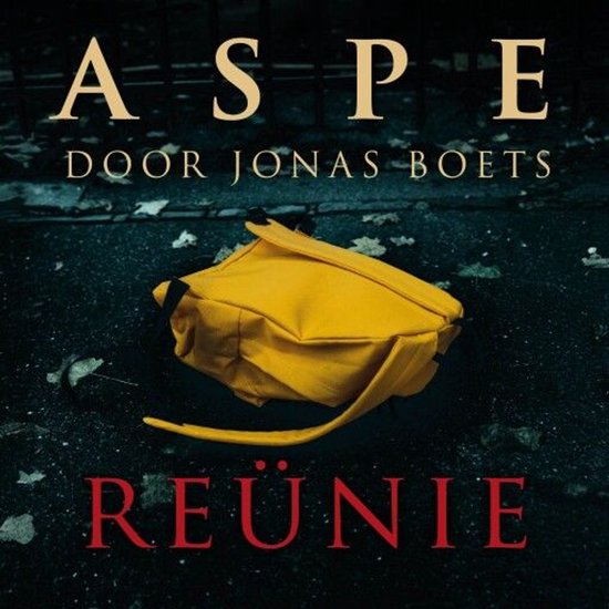 Reünie, Jonas Boets | 9789460417696 | Boeken | bol