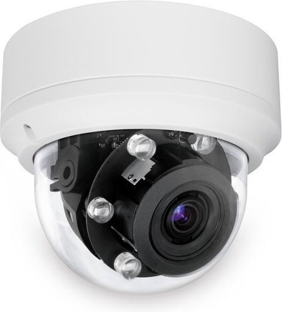 Digitus DN-16082-1 bewakingscamera IP-beveiligingscamera Buiten Dome ...