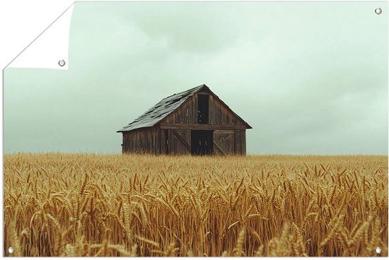 Oude houten schuur in graan - Schuur tuinprint - Tuinkunst architectuur - Realisme -... | bol