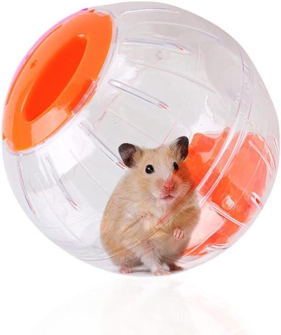 Kleine dieren loopbal hamsterbal hamsterspeelgoed mini 47 inch run oefenbal voor... | bol