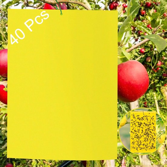 Lexium Mottenval - Motten Bestrijden - Mottenval Kledingmotten ...