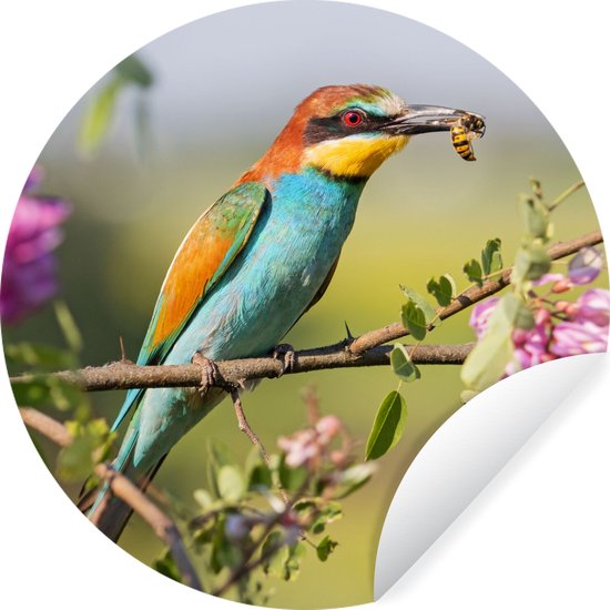 WallCircle - Muurstickers - Behangcirkel - Vogel - Bijeneter - Bloemen - 100x100 cm -... | bol