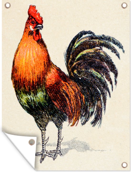 Affiche de jardin - Toile de jardin - Affiches de jardin extérieur ...