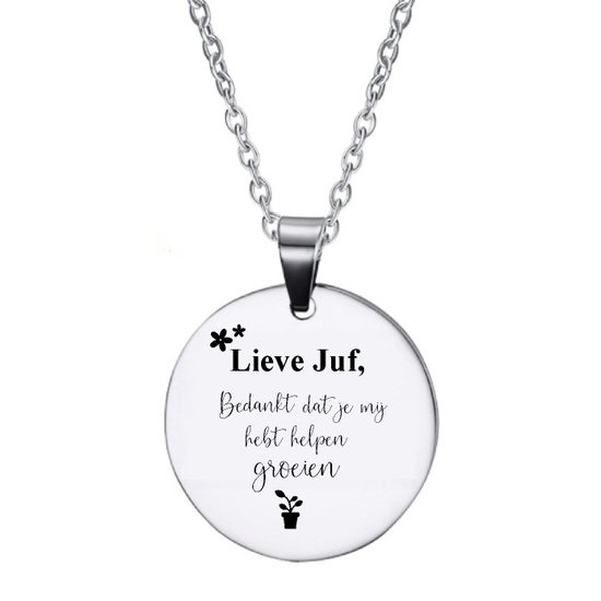 Ketting RVS - Rond - Zilver - Liefe Juf | bol