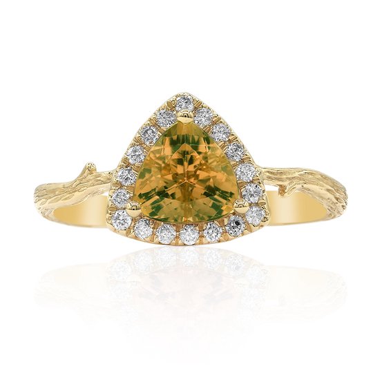 Gouden ring met een Congo Neon Toermalijn (Smithsonian) | bol