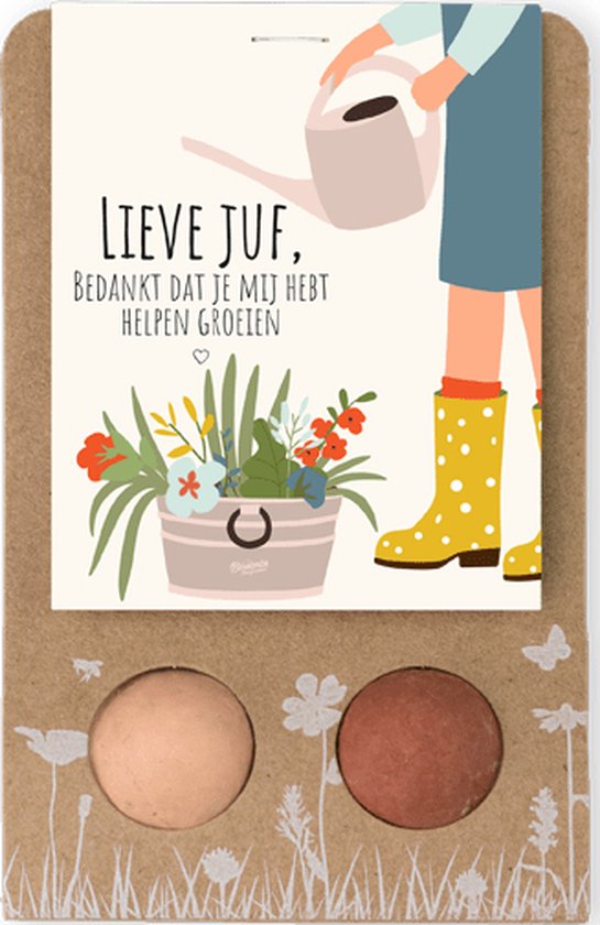 Blossombs Bloembommetjes Weggeefcadeautje - 2 Zaadbommetjes - Lieve Juf ...