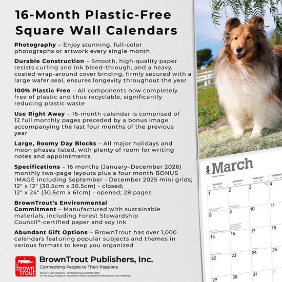 Calendrier 2026 du Sheltie (Berger des Shetland) | bol