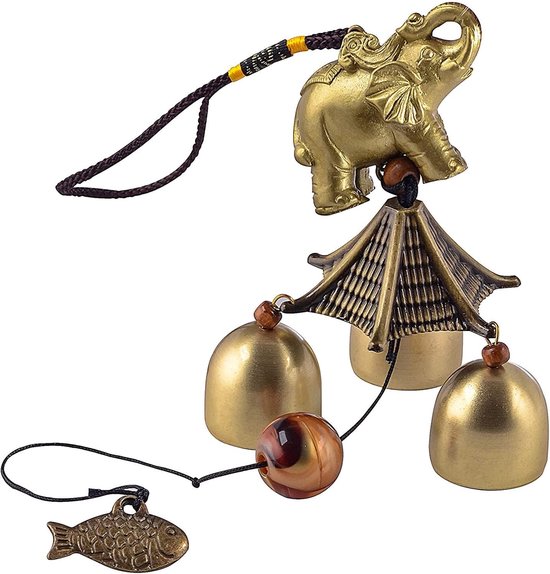 Elephant Fish - DWE - Aquarium Vis Soorten | bol