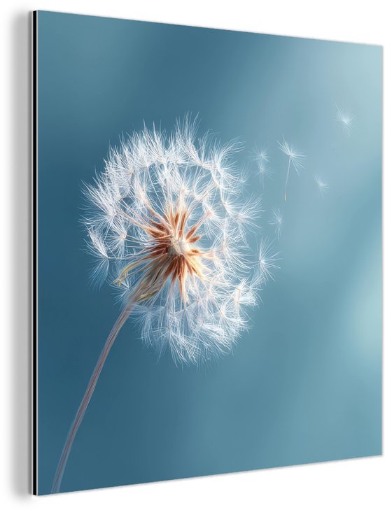 Aluminium schilderij 50x50 cm - Wanddecoratie metaal - Paardenbloem ...
