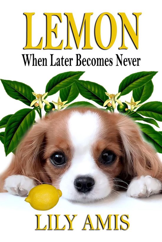 Lemon, When Later Becomes Never (ebook), Lily Amis | 9781005617936 ...
