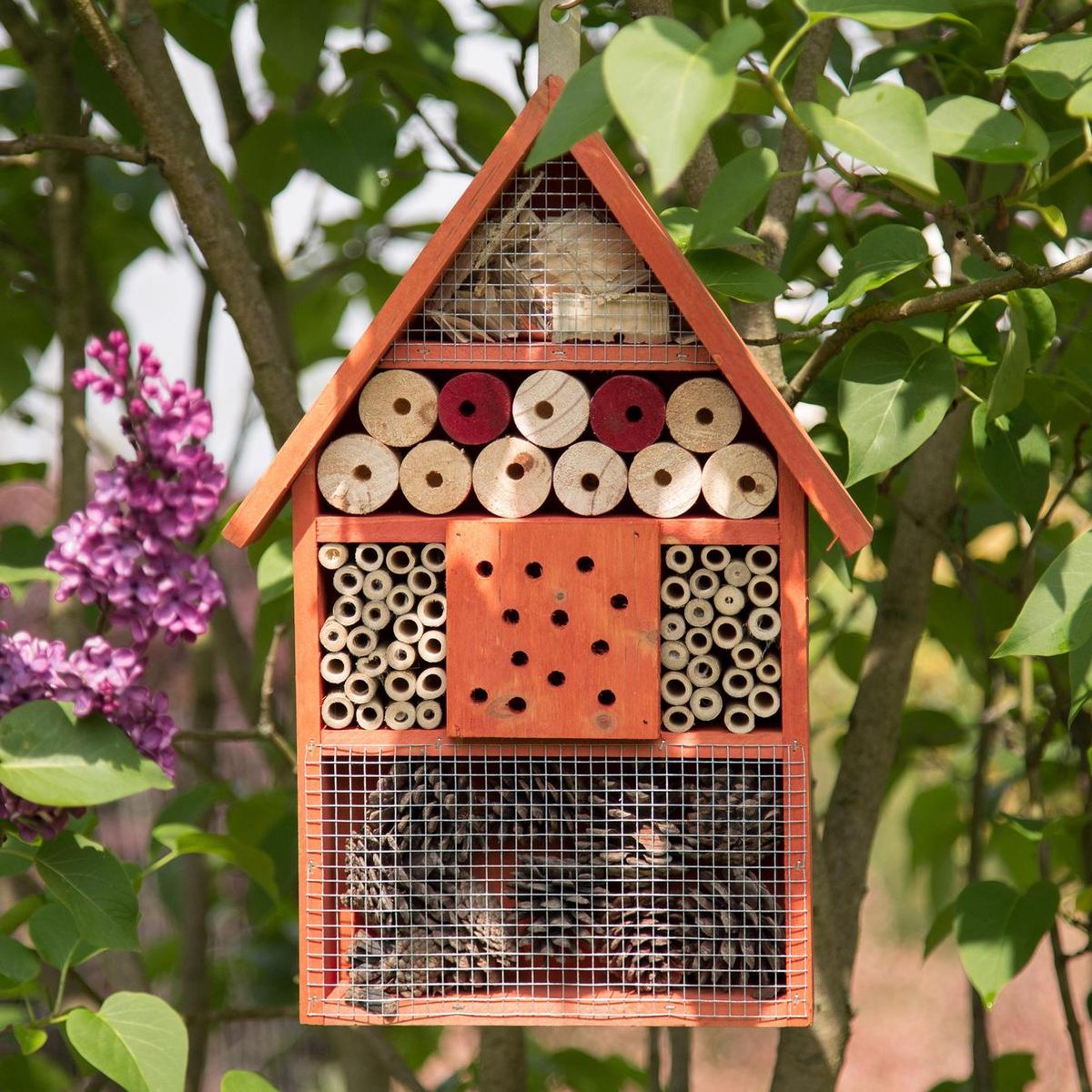 bol.com | relaxdays - insectenhotel - insecten huis - vlinders - bijen ...