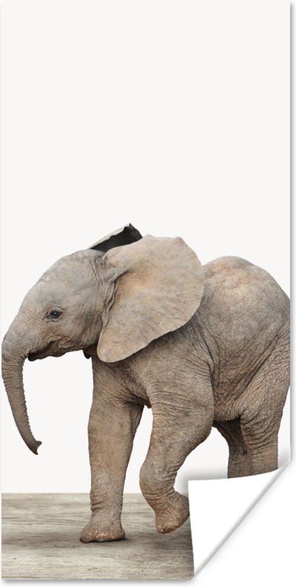 Poster kinderen - Baby olifant - Dieren - Olifant - Kinderen - Meiden ...