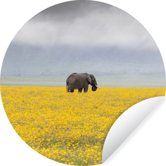 WallCircle - Muurstickers - Behangcirkel - Olifant - Bloemen - Natuur - Geel - Dieren... | bol.com