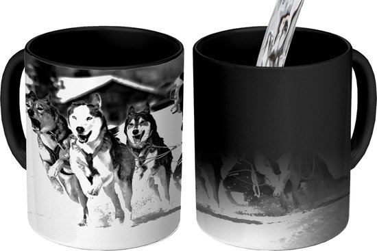 Mug magique - Photo sur tasse de chaleur - Les chiens de traîneau ...