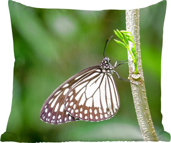 Vlinder wit en zwart | bol.com