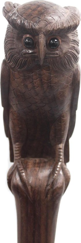 Bâton de cérémonie - Chouette | bol.com