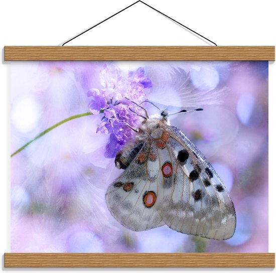 Schoolplaat – Witte Vlinder op Paarse Bloem - 40x30cm Foto op ...
