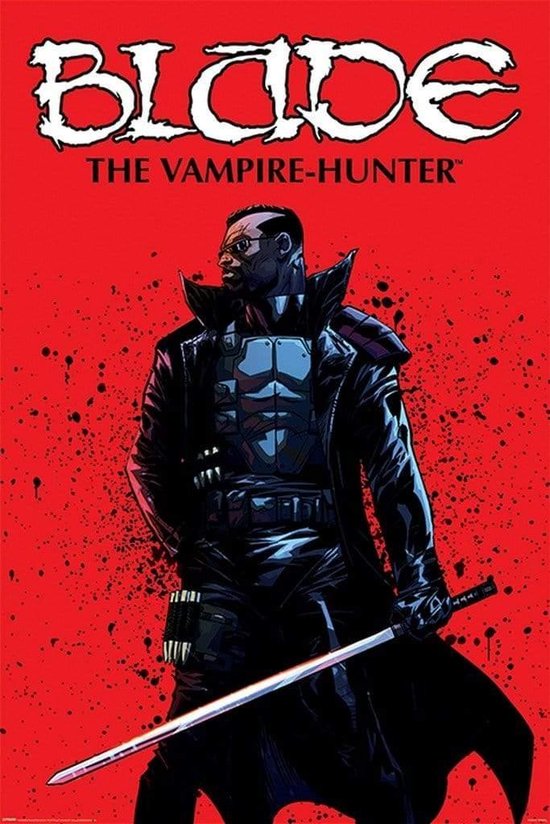 Pyramid Blade The Vampire Hunter Poster - 61x91,5cm | bol.com