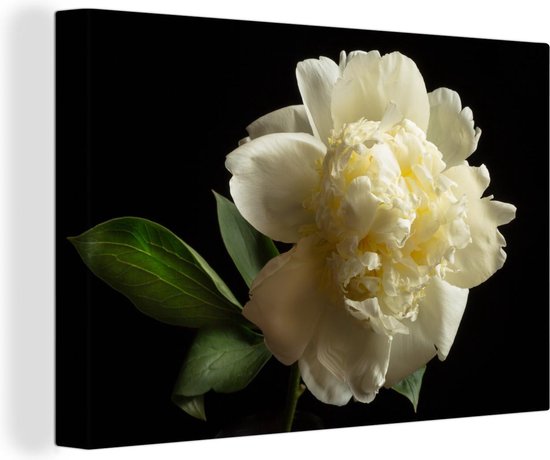 Canvas Schilderij Bloeiende witte pioenroos - 140x90 cm - Wanddecoratie ...