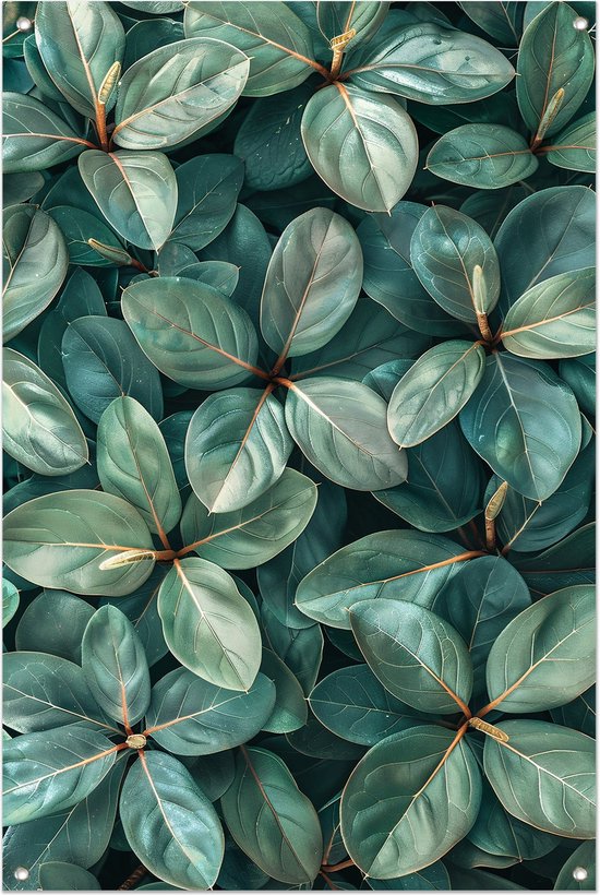 Plant posters - Flora poster - Tuinposter Stengel - Buiten - Tuin ...