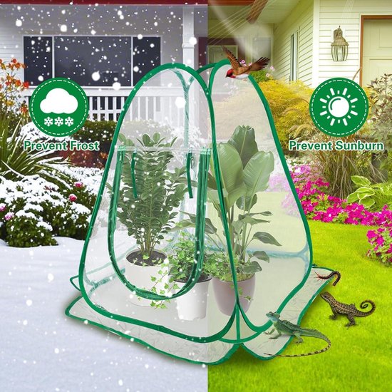 Mini-broeikas van pvc transparant - kleine tuinkas voor buitenplanten ...