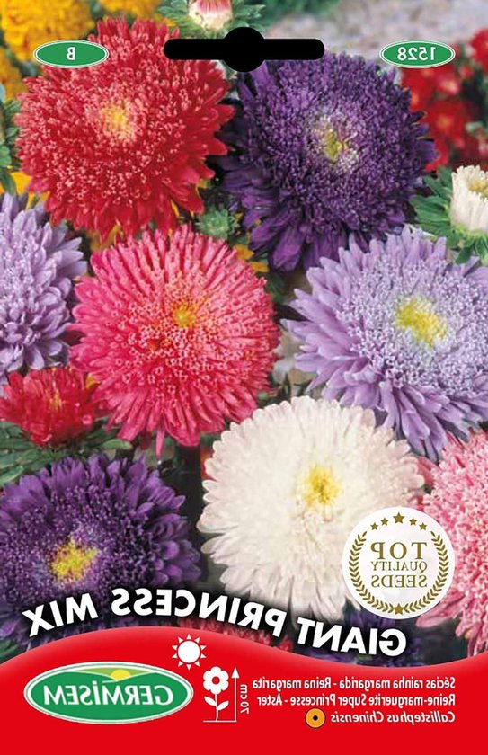 Princess Mix Chinese Aster Zaden 1 g | bol
