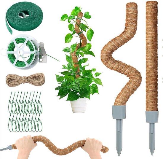 Mosstok set van 2 - Plantensteun voor klimplanten - 100 cm | bol