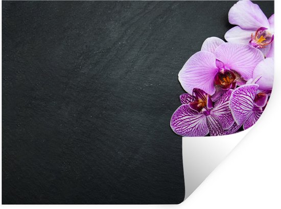 Muurstickers - Sticker Folie - Orchidee - Bloemen - Roze - Flora ...