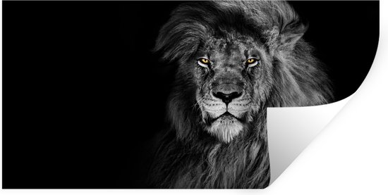 Muurstickers - Sticker Folie - Leeuw - Ogen - Oranje - Zwart wit - Dieren - Portret -... | bol
