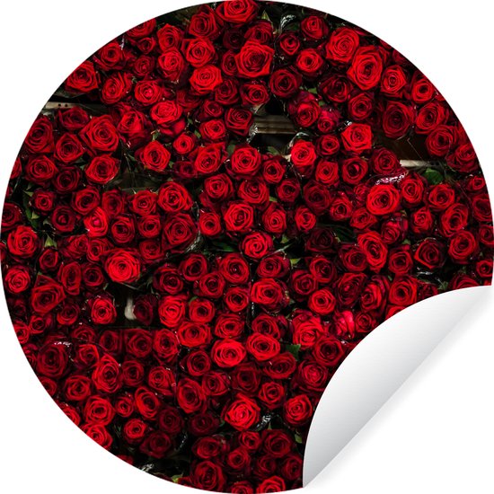 Behangcirkel - Bloemen - Rozen - Rood - 120x120 cm - Muurcirkel ...