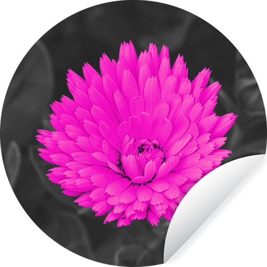 WallCircle - Muurstickers - Behangcirkel - Bloemen - Waterverf - Roze - ⌀ 140 cm -... | bol