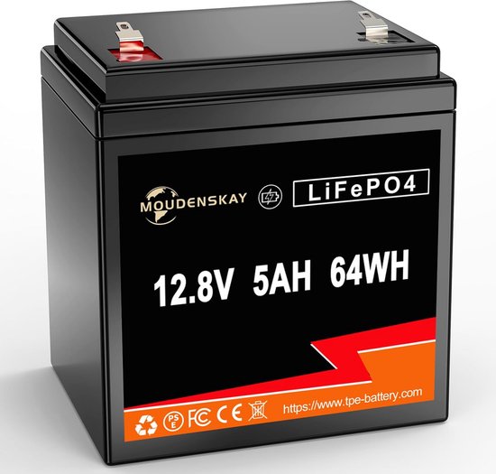12V LiFePO4 Lithium Accu 5Ah met BMS Bescherming voor Noodverlichting | bol