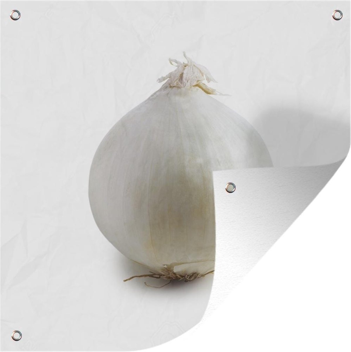 Tuindoek Eenzame witte ui spierwitte achtergrond - 100x100 cm | bol.com
