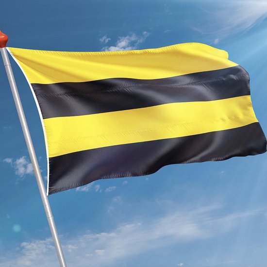 Vlag Workum - 200 x 300 cm - Polyester | bol