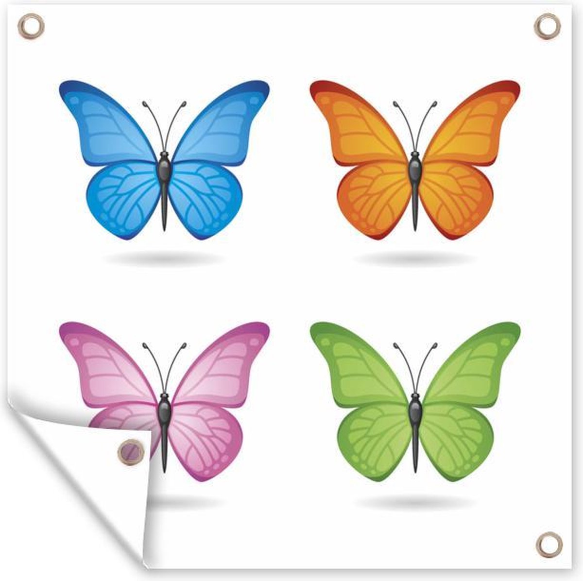 Une illustration de quatre papillons sur fond blanc affiche de jardin ...