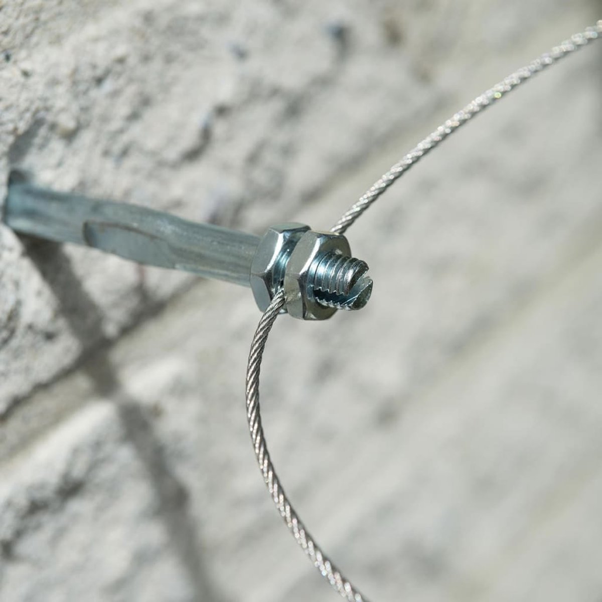 Nature - Spandraadsysteem voor klimplanten - 10m - verzinkte kabel ...