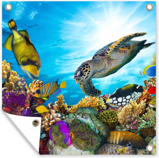 Tuinposters Schildpad - Zee - Koraal - 50x50 cm | bol.com
