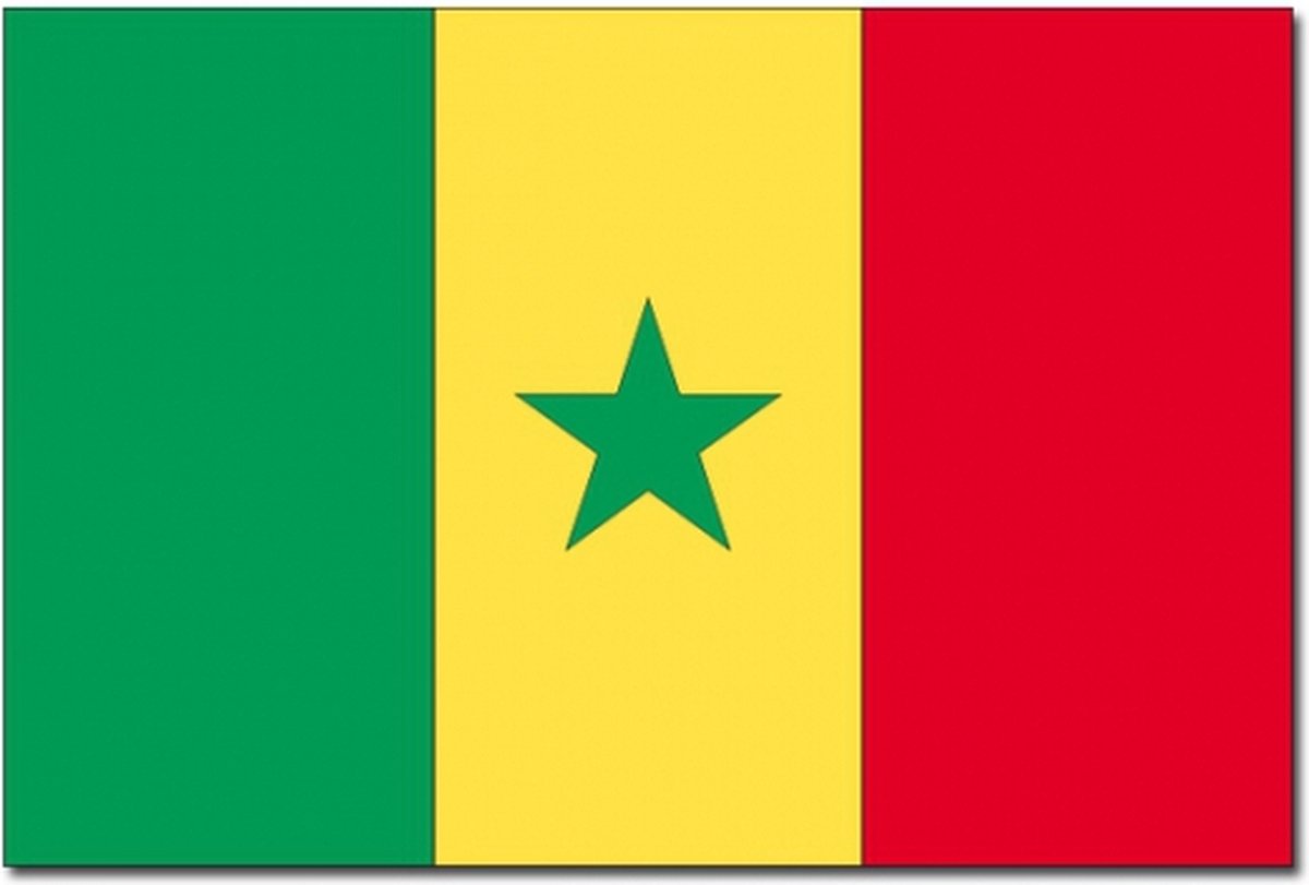 Vlag Senegal | bol