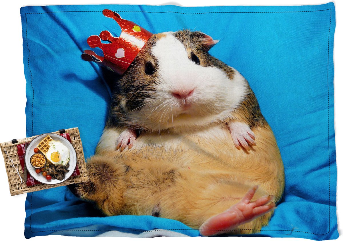 Waterdicht Picknickkleed - Geschikt als Strandlaken / Strandmat - Cavia ...