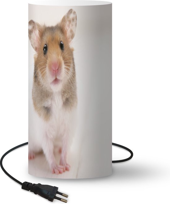 Lamp - Nachtlampje - Tafellamp slaapkamer - bruin-witte hamster - 54 cm ...