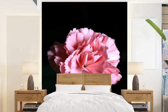 Behang - Fotobehang Roze Anjer bloem zwarte achtegrond - Breedte 160 cm ...
