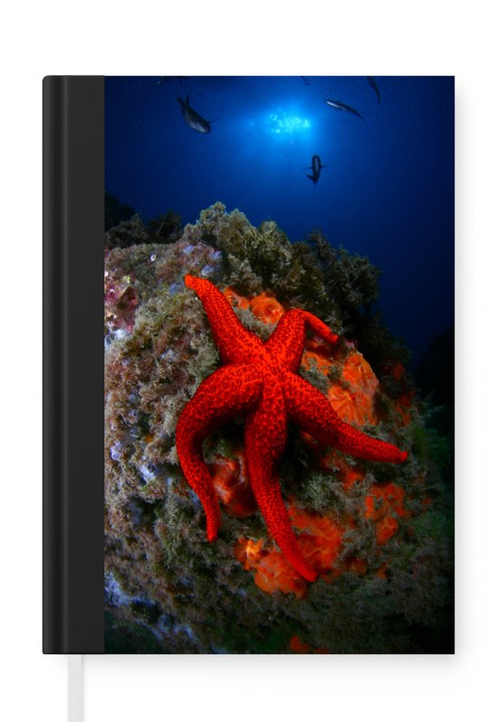 Carnet - Cahier - Étoile de mer - Rouge - Corail - Carnet - Format A5 ...