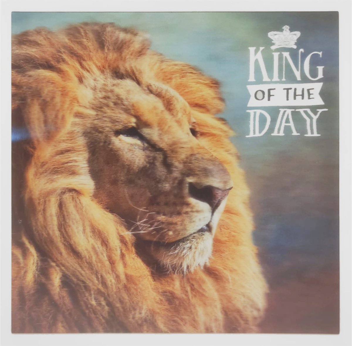 King Of The Day