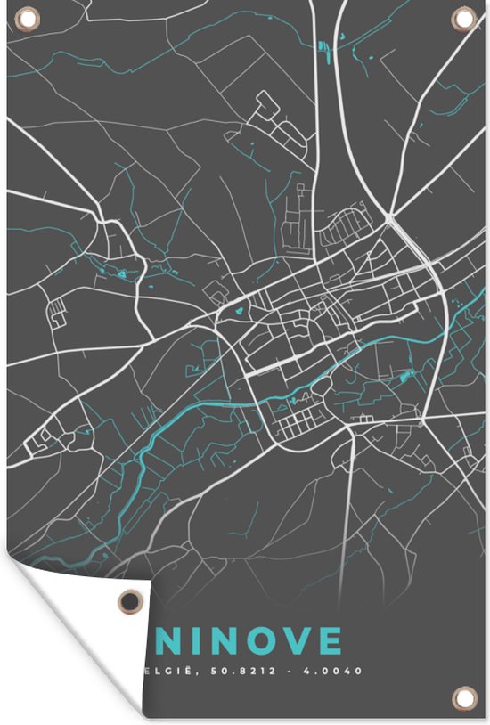 Tuinposter België – Ninove – Stadskaart – Kaart – Grijs – Plattegrond ...