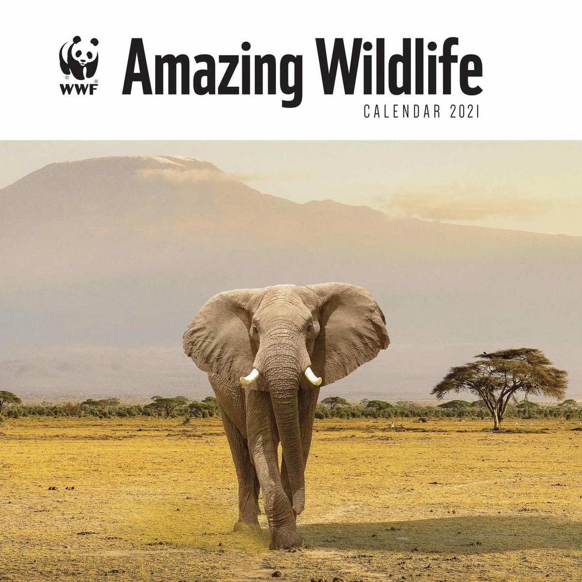 Amazing Wildlife WWF Kalender 2021 | bol.com