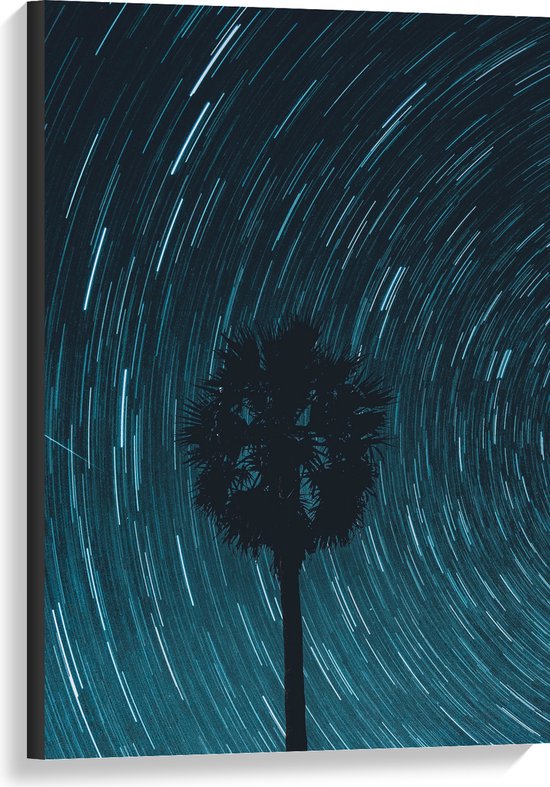 Canvas - Cirkelvormige Lichten in de Lucht bij Silhouet van Eenzame ...