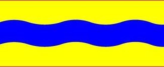 Vlag Overijssel 40x60cm | bol.com