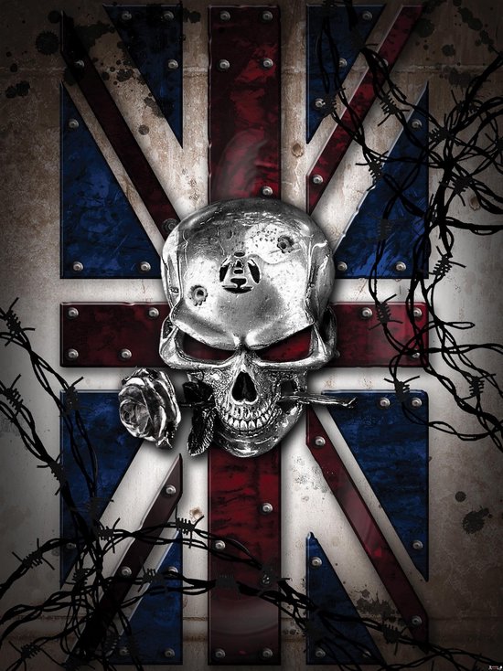 Alchemy Skull Union Jack Tattoo Photo Wallcovering | bol.com